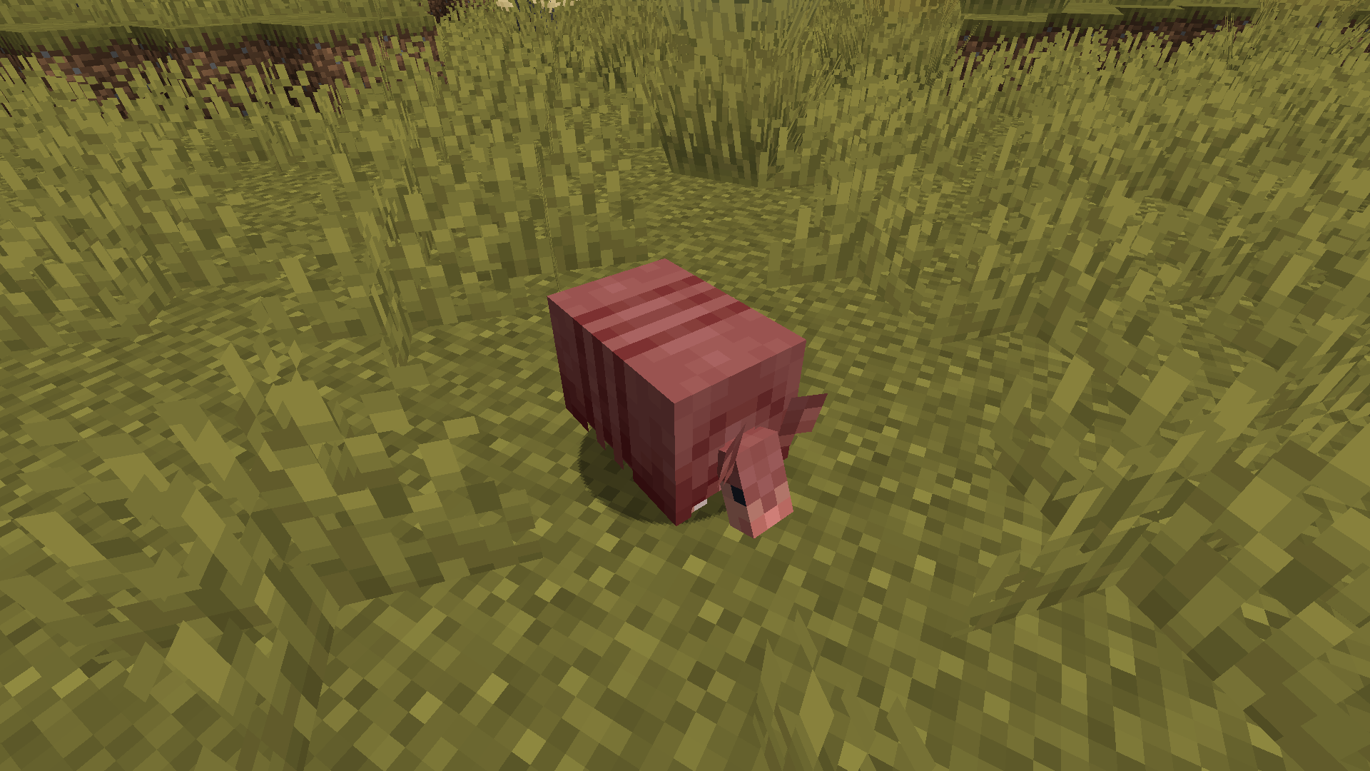 Varied Armadillos - Minecraft Resource Packs - CurseForge