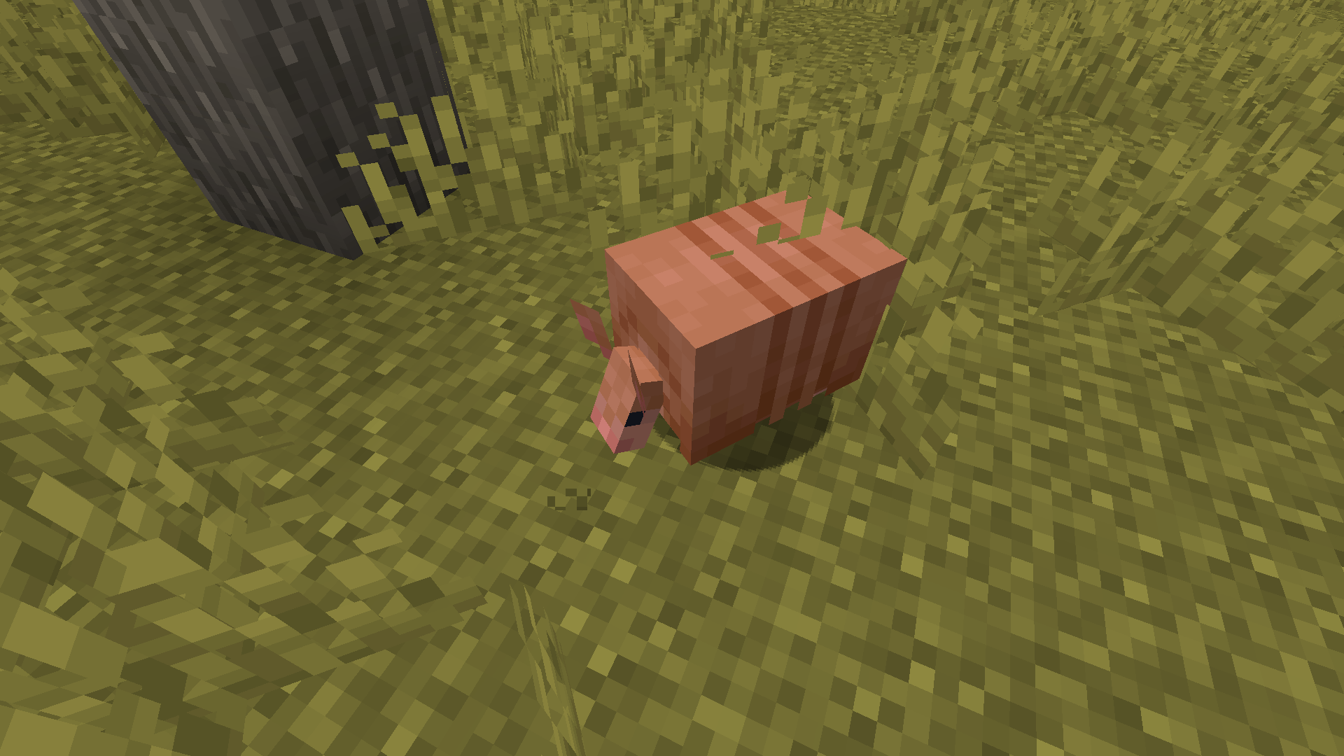 Varied Armadillos - Gallery - Minecraft Resource Packs - CurseForge