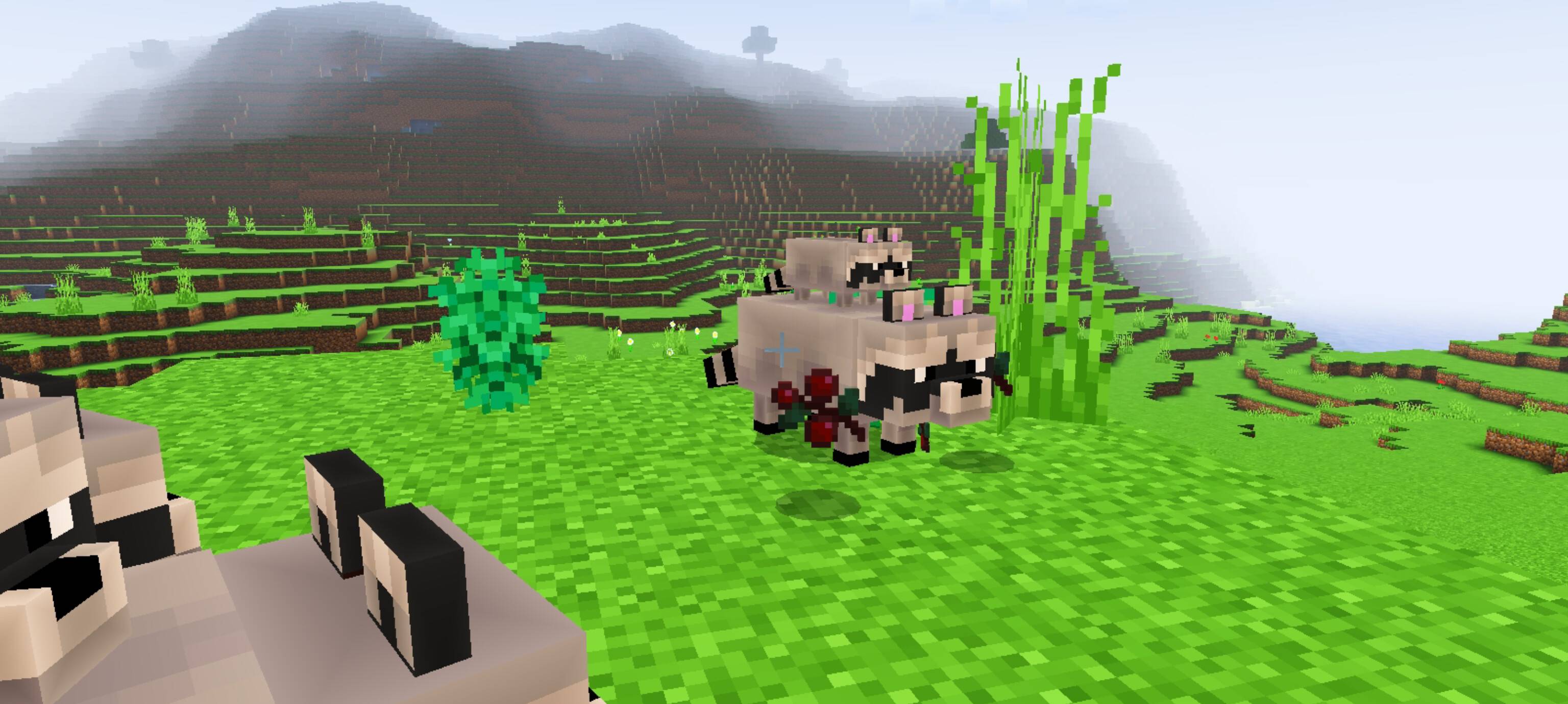 Raccoon's addon - Gallery - Minecraft Bedrock Addons - CurseForge