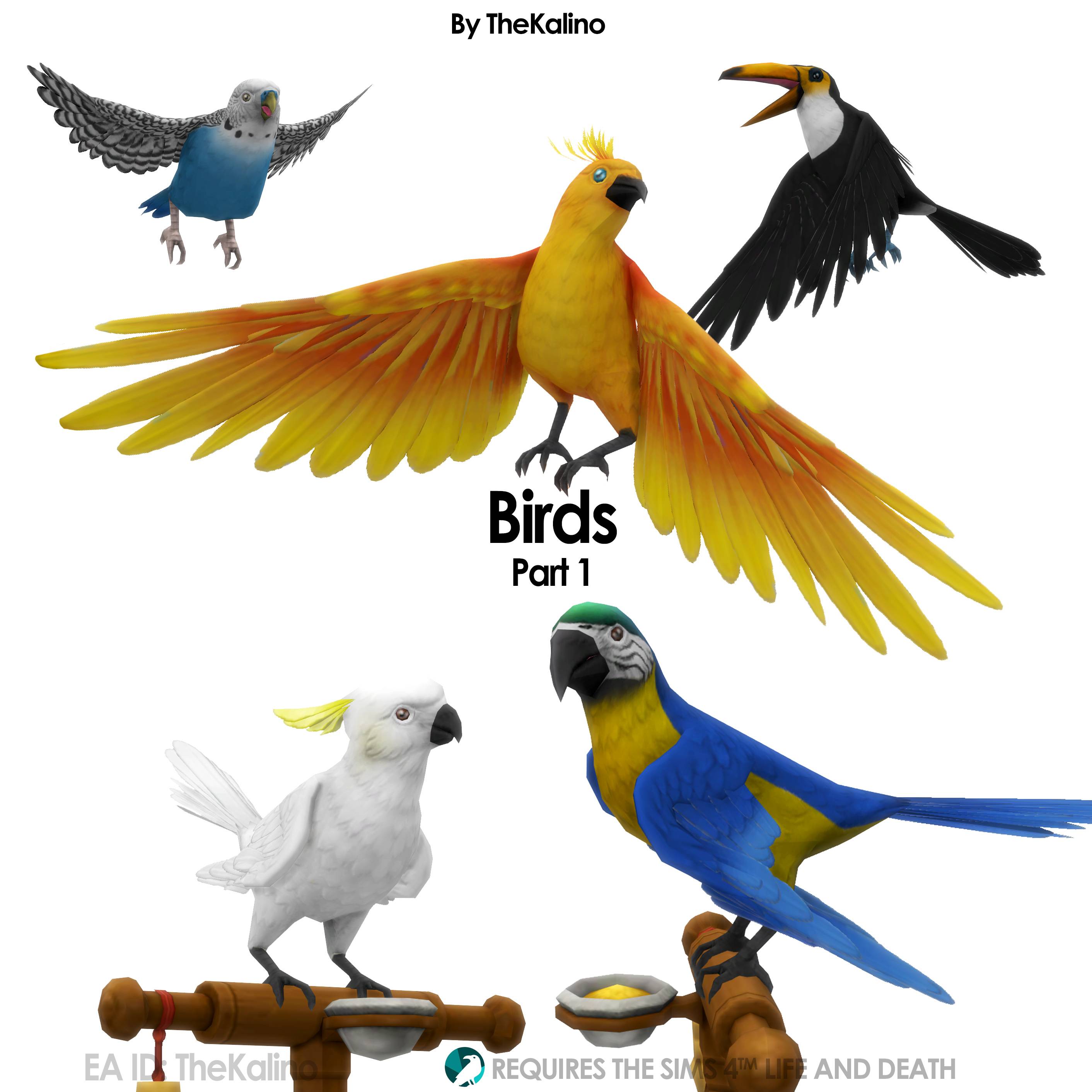 Birds (Part 1) - Gallery - The Sims 4 Build / Buy - CurseForge