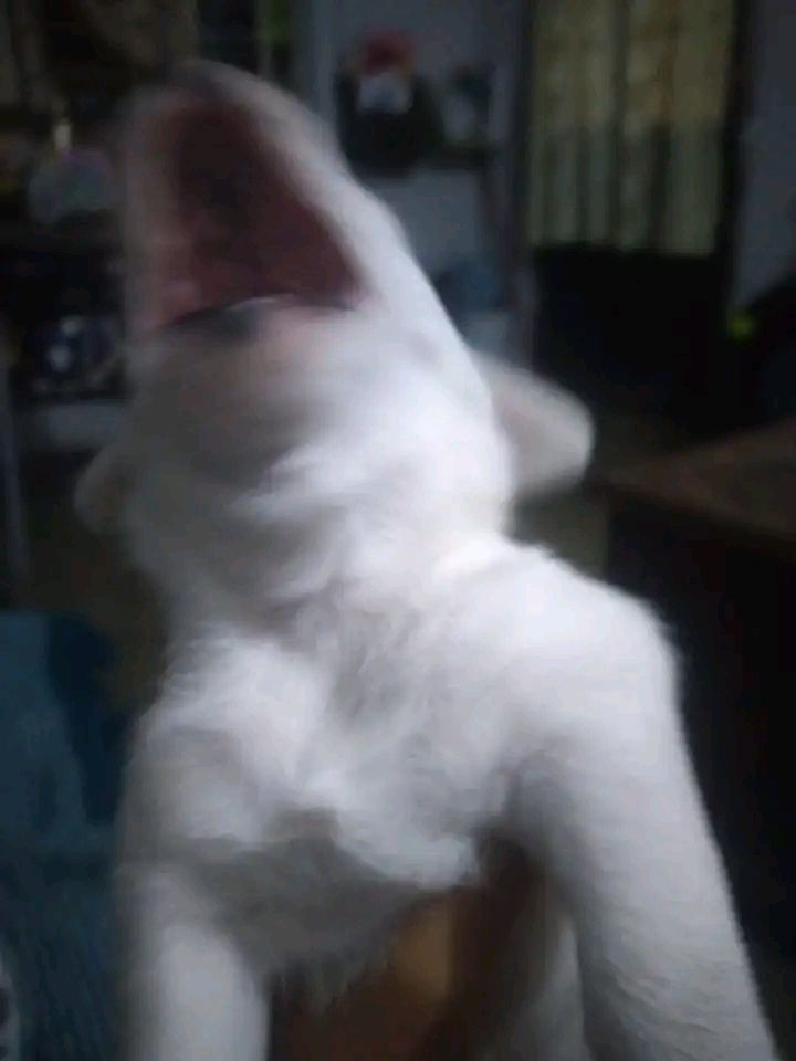 Blocklings world - Gallery - Minecraft Mods - CurseForge