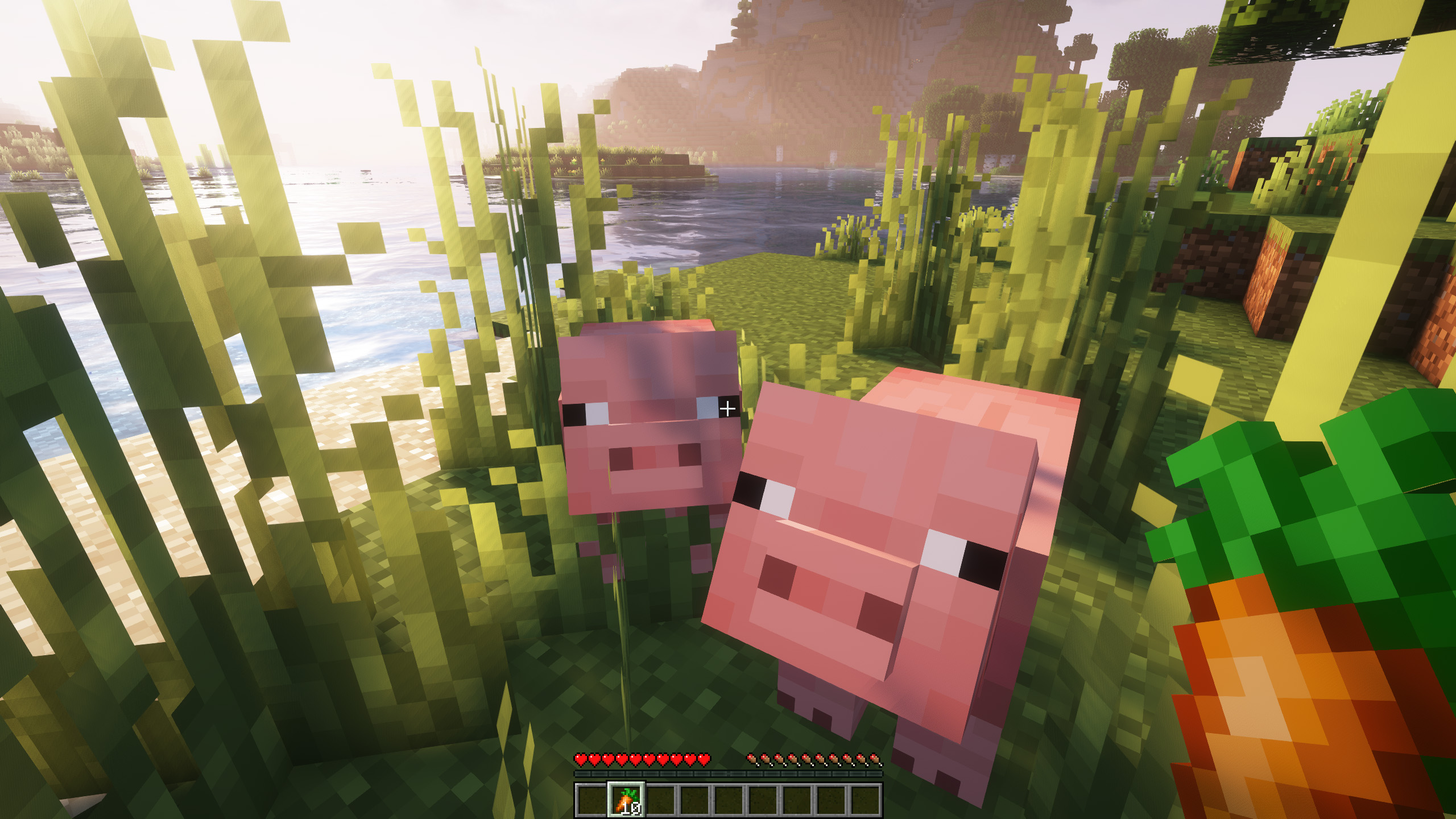 Longer Following Time - Minecraft Mods - CurseForge