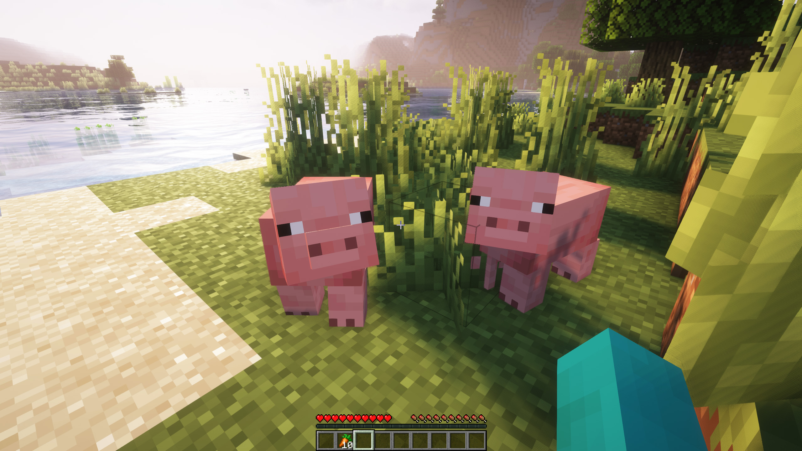 Longer Following Time - Minecraft Mods - CurseForge