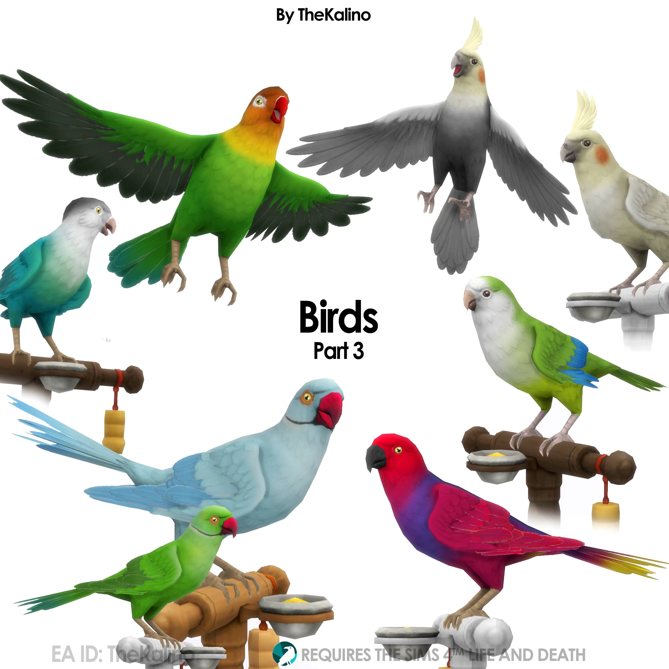 Birds (Part 3) - Gallery - The Sims 4 Build / Buy - CurseForge
