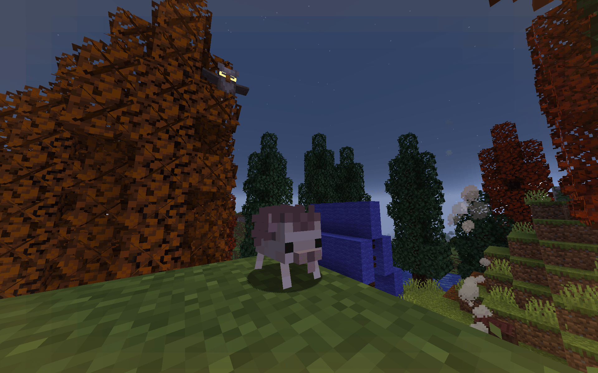 Chocco's Cozy Campers - Gallery - Minecraft Mods - CurseForge