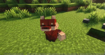 Lanostry's foxes x Fresh animations - Gallery - Minecraft Resource ...