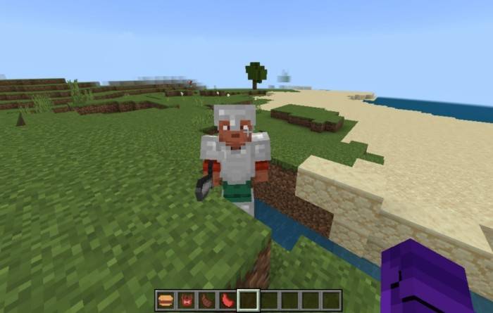 Player's Meat - Gallery - Minecraft Bedrock Addons - CurseForge