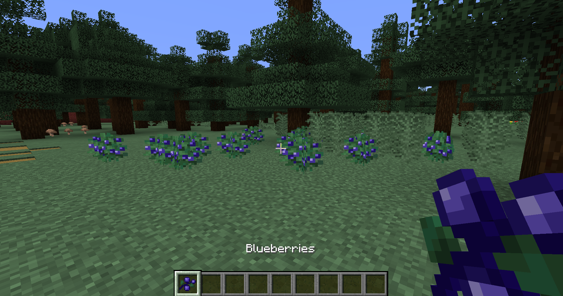 Blueberries! - Gallery - Minecraft Resource Packs - CurseForge