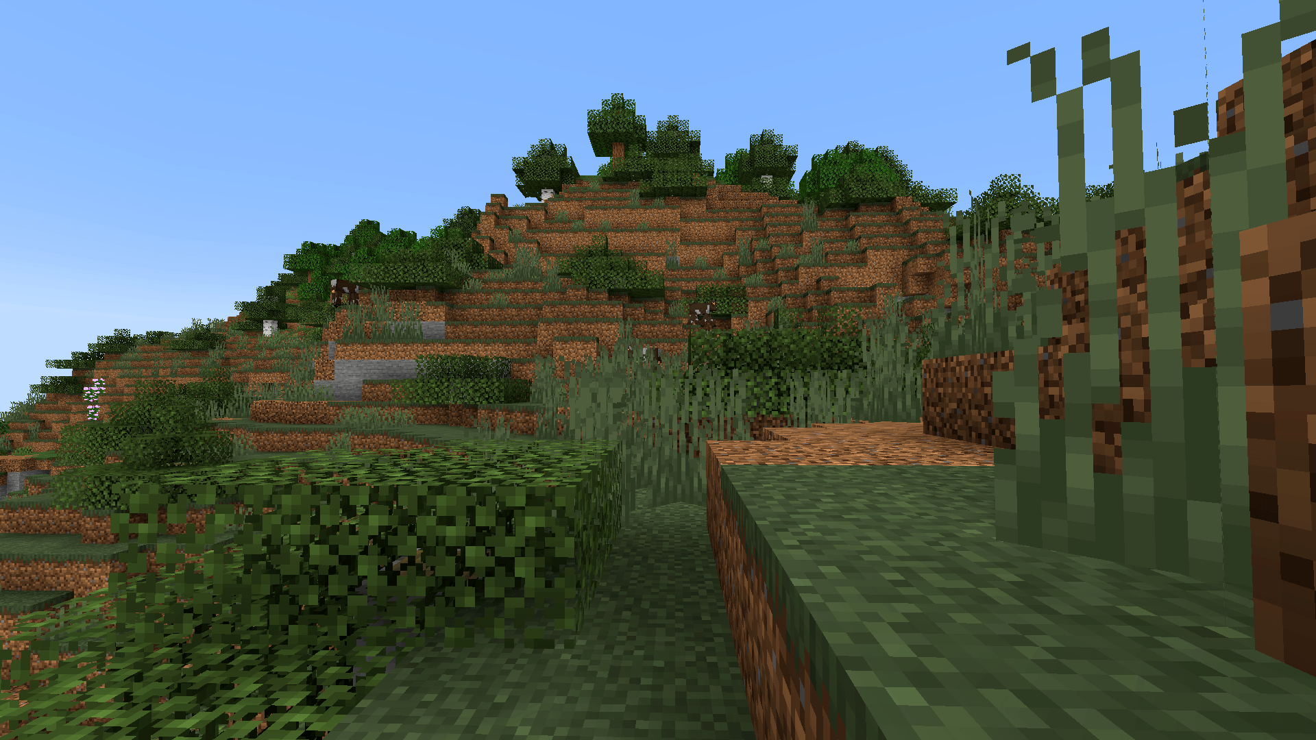 Biome Fest - Gallery - Minecraft Mods - CurseForge