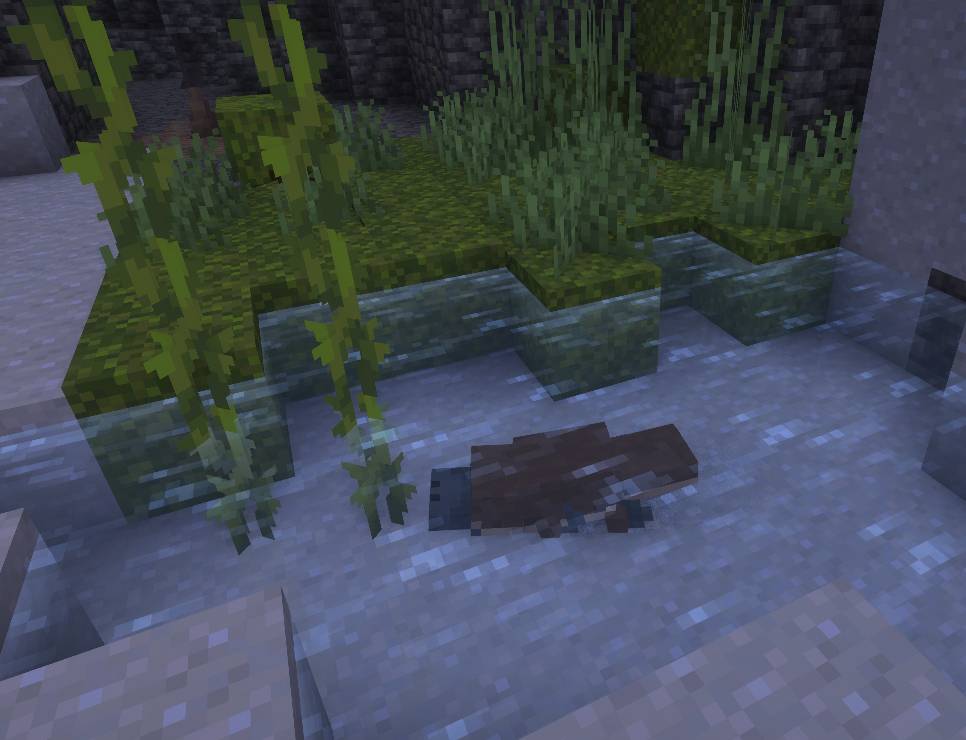 Platylotl | Axolotl to Platypus Conversion - Minecraft Resource Packs ...