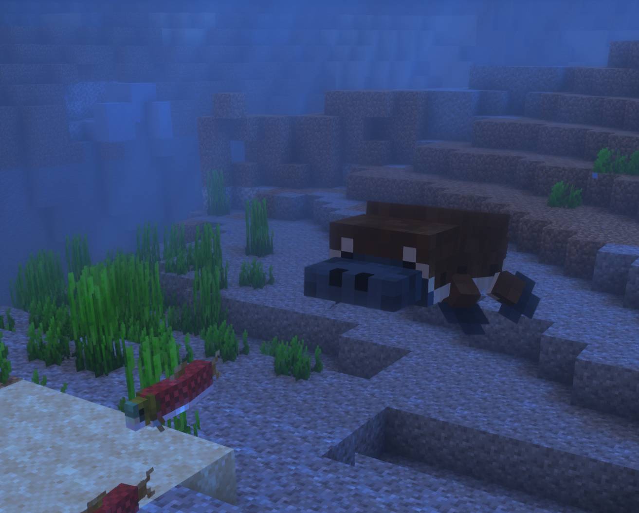 Platylotl | Axolotl to Platypus Conversion - Gallery - Minecraft ...