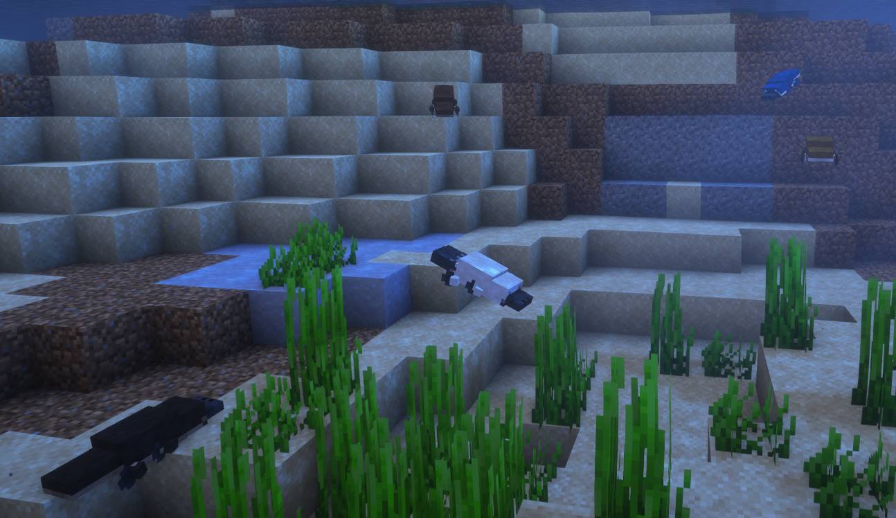 Platylotl | Axolotl to Platypus Conversion - Gallery - Minecraft ...