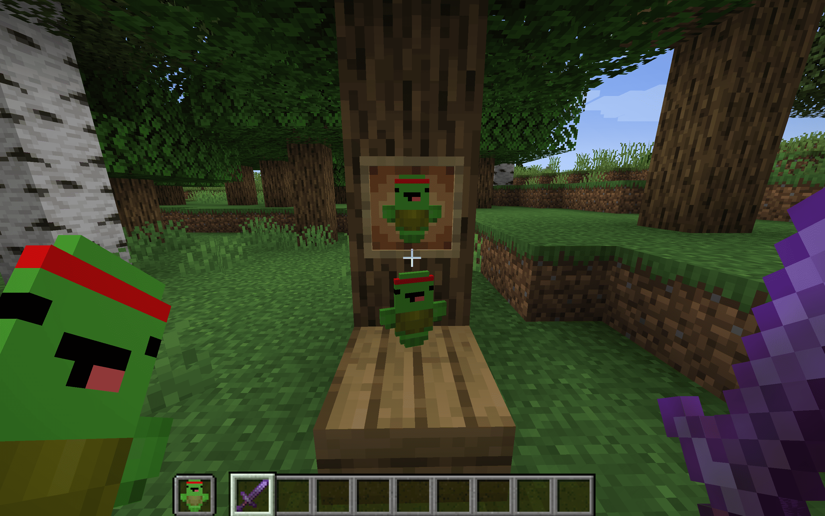 Red Ninja Turtle Totem - Minecraft Resource Packs - CurseForge