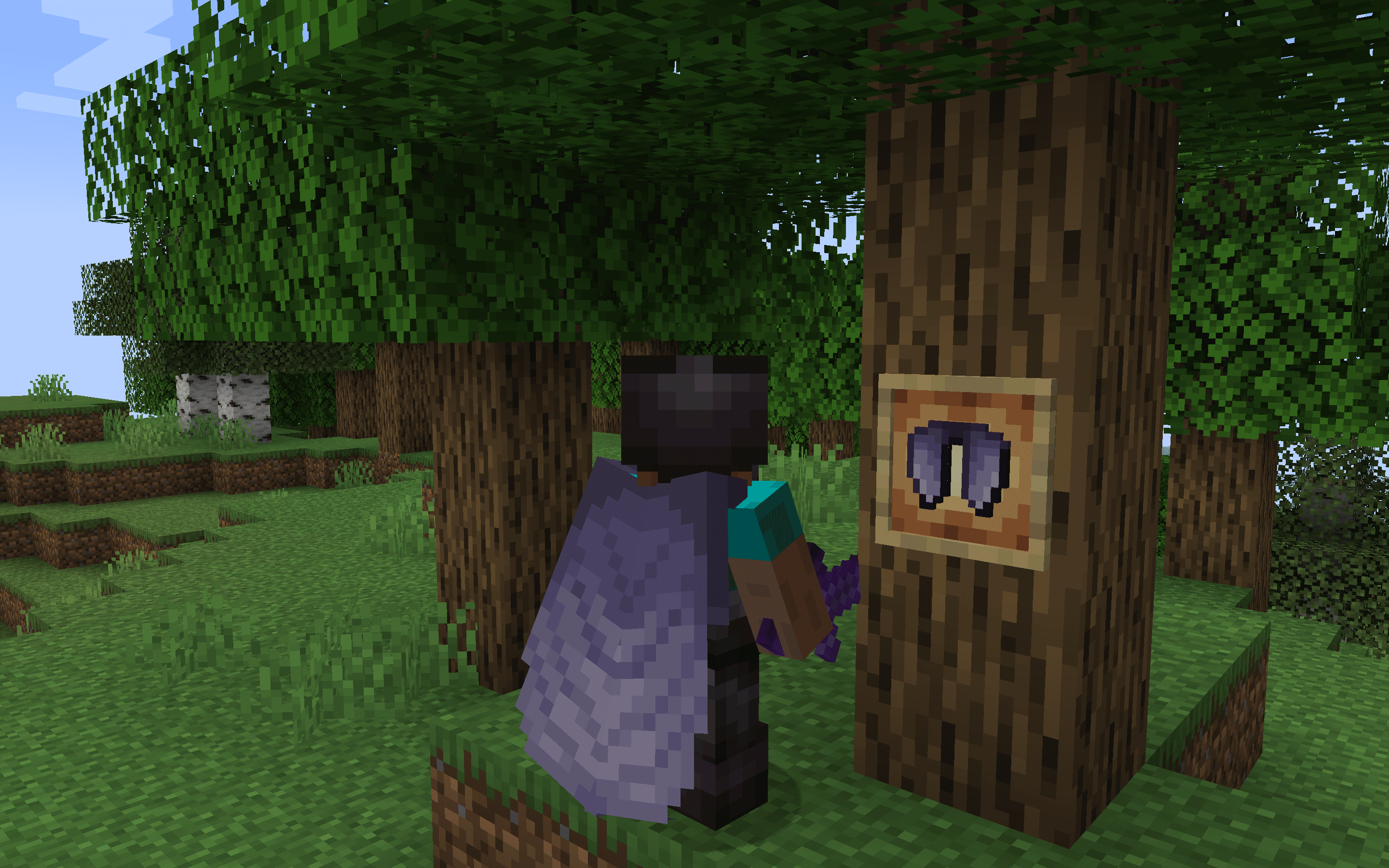 Classic+ Elytra - Better Wings - Gallery - Minecraft Resource Packs ...