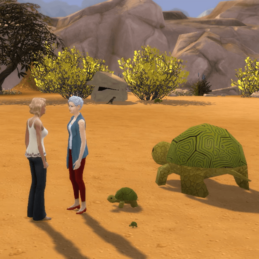 Pet Tortoise - Gallery - The Sims 4 Build / Buy - CurseForge