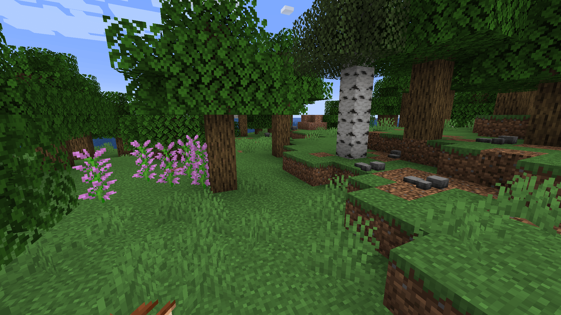 Epidemius Better Overworld - Gallery - Minecraft Mods - CurseForge