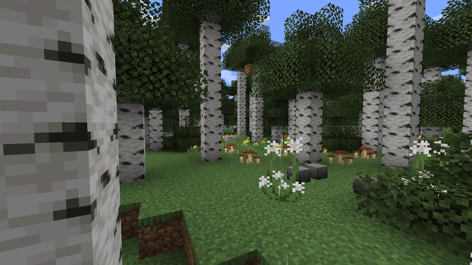 Epidemius Better Overworld - Gallery - Minecraft Mods - CurseForge