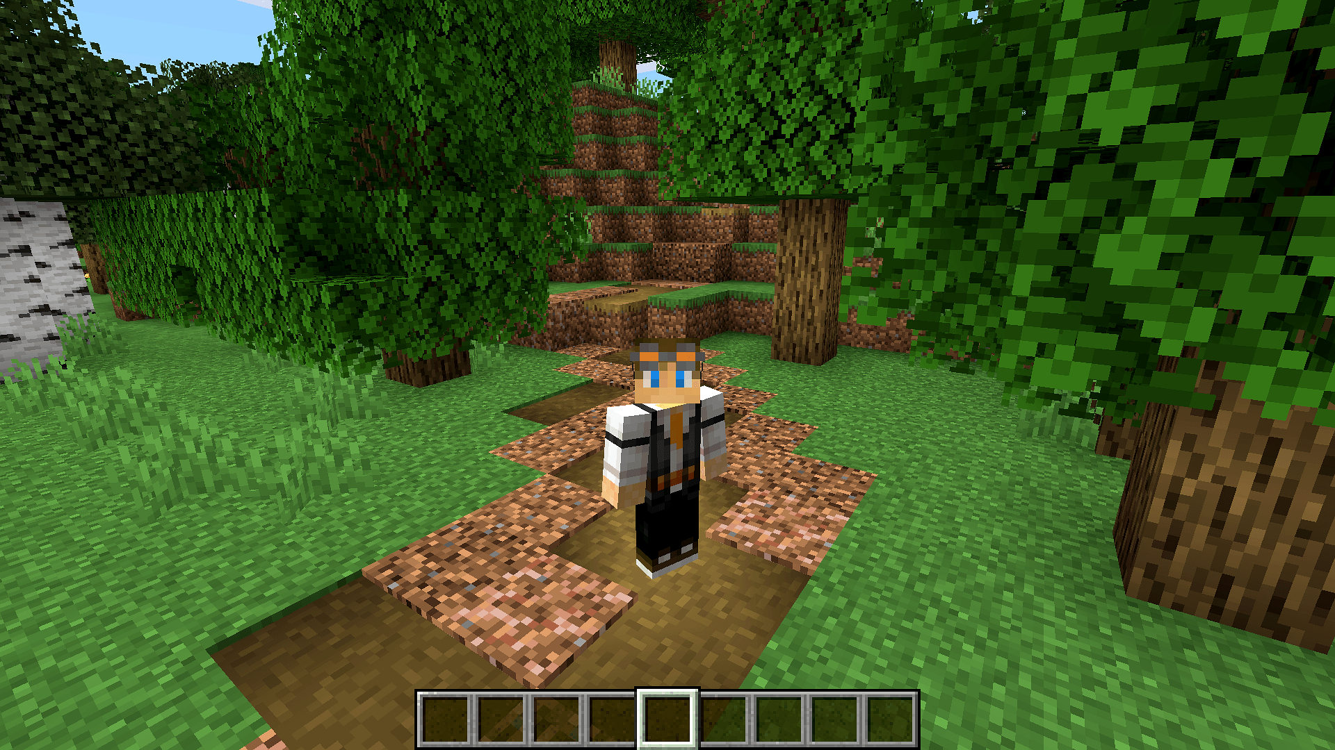 JohnRD1's Desired Paths - Gallery - Minecraft Mods - CurseForge