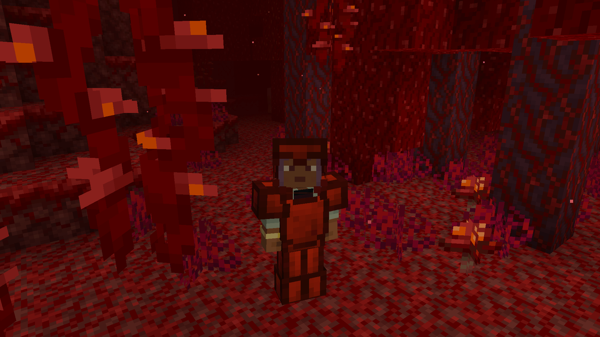 Depths Of The Nether - Gallery - Minecraft Mods - CurseForge