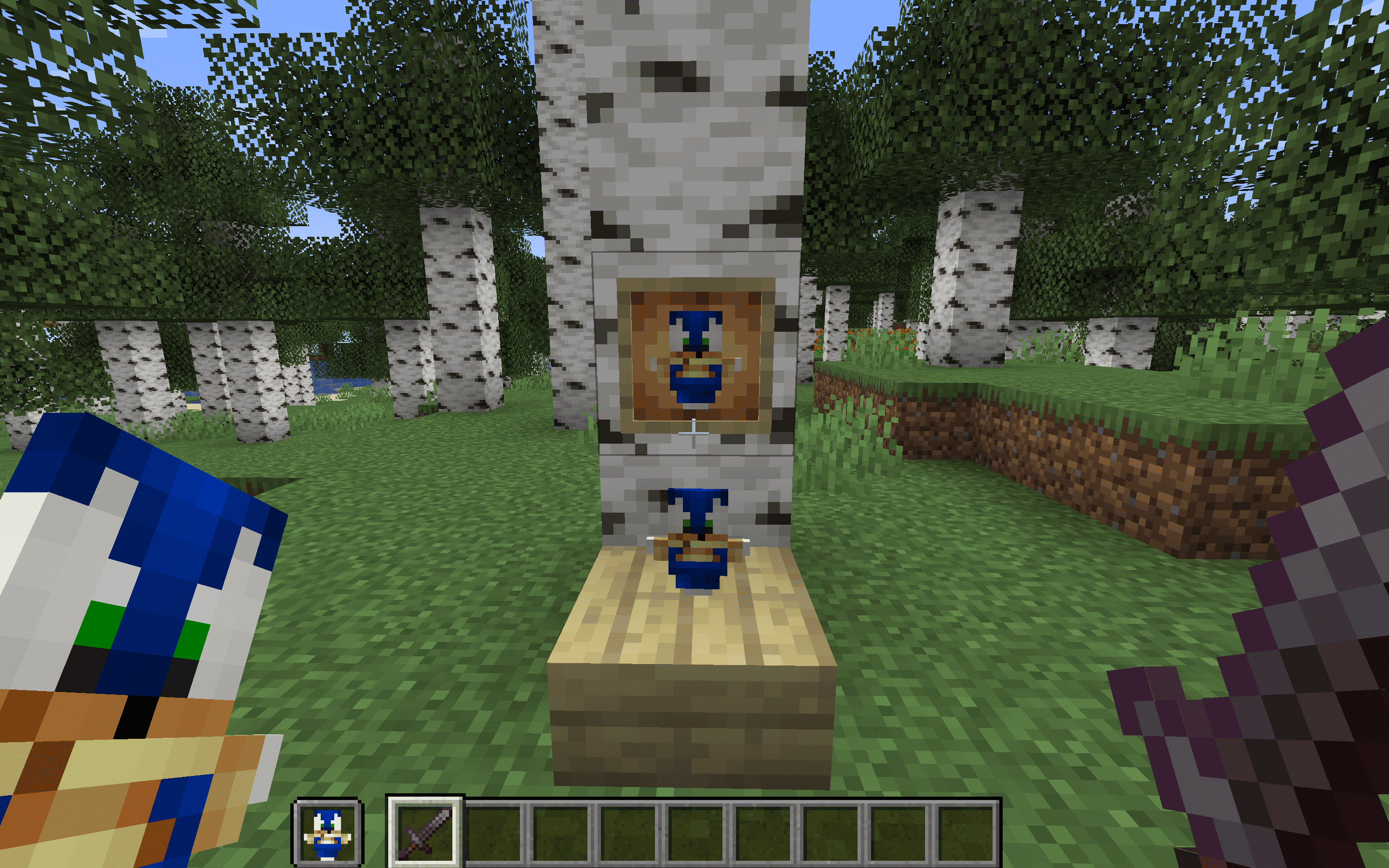 Sonic Totem of Undying - Minecraft Resource Packs - CurseForge