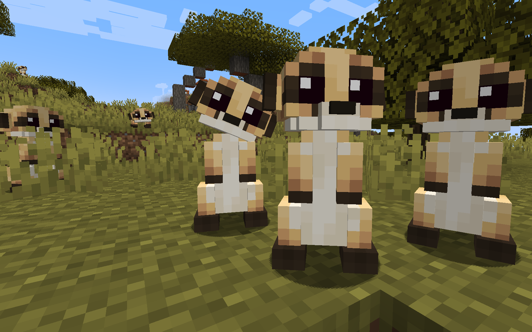 Animal Garden - Meerkat - Gallery - Minecraft Mods - CurseForge