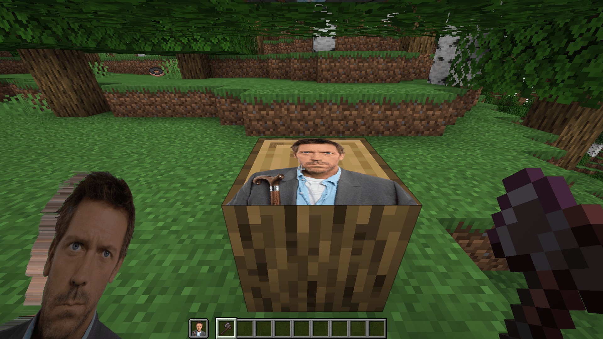 HouseCraft - Minecraft Resource Packs - CurseForge