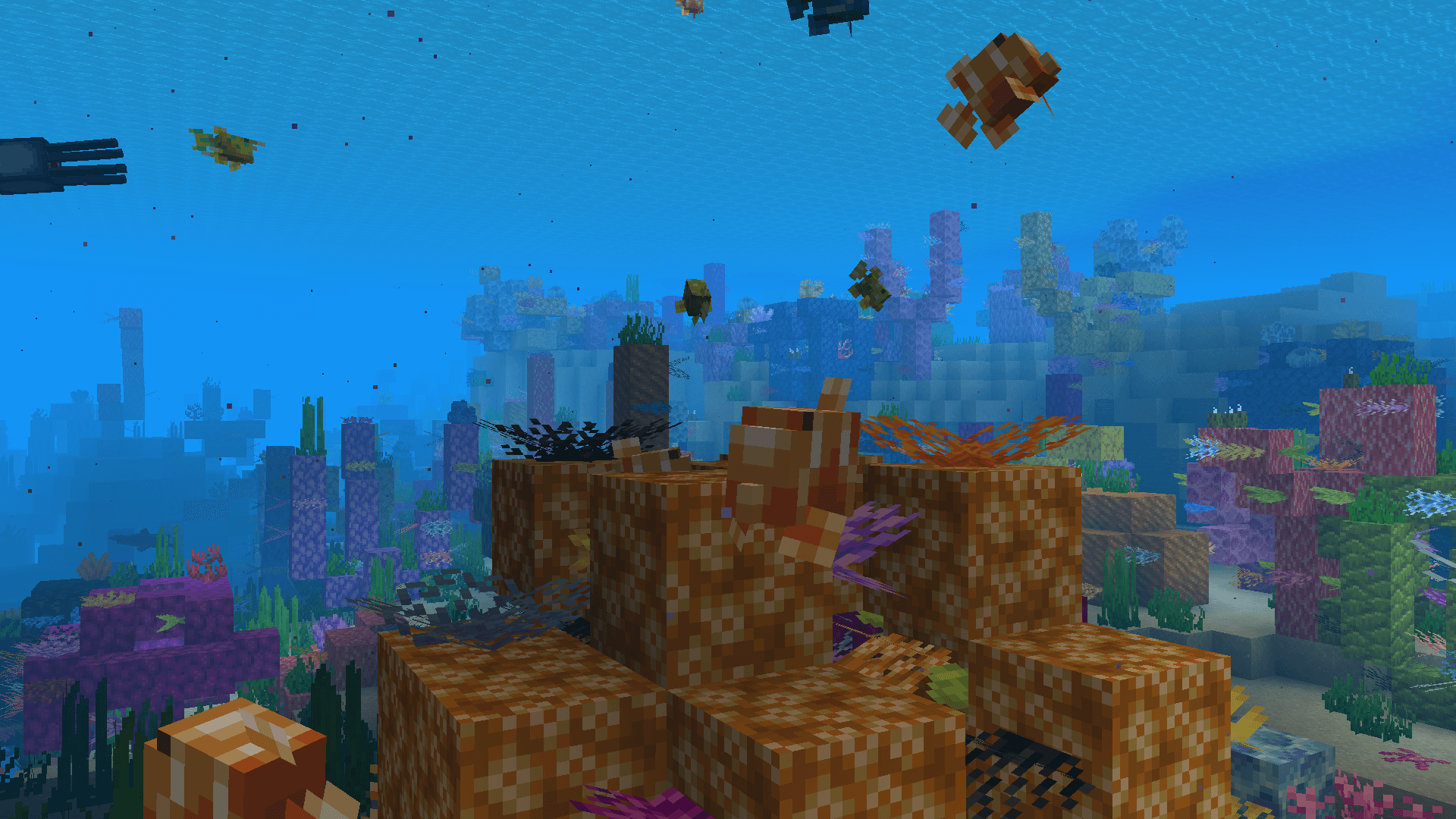 Rainbow Reef - Minecraft Mods - CurseForge