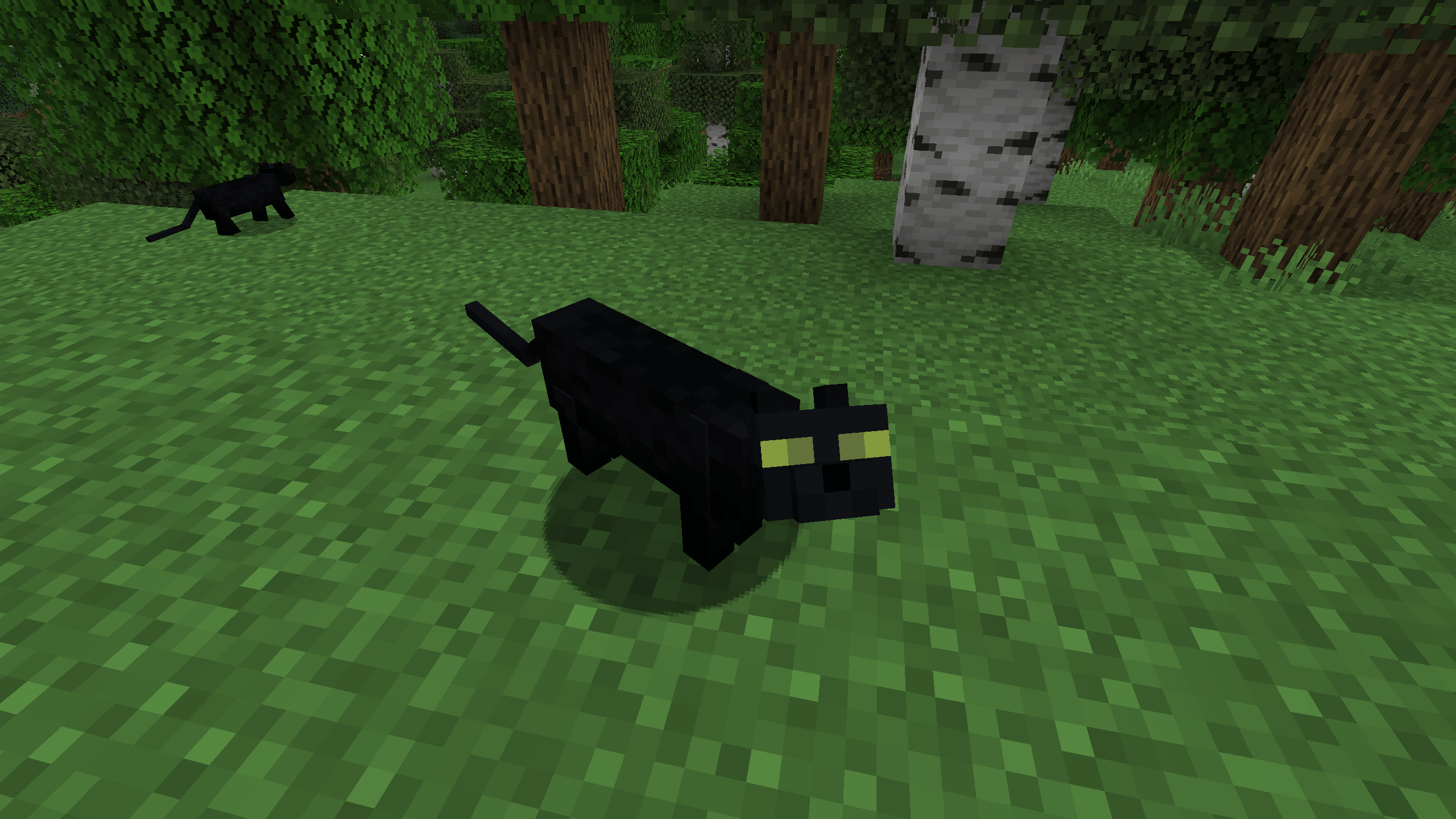 Molly the Warrior - Gallery - Minecraft Mods - CurseForge