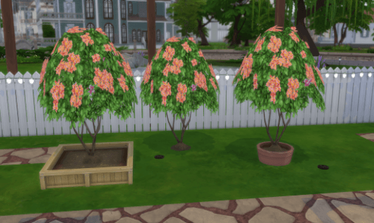 Plumeria Harvestable (Lei Flowers) - Gallery - The Sims 4 Mods - CurseForge