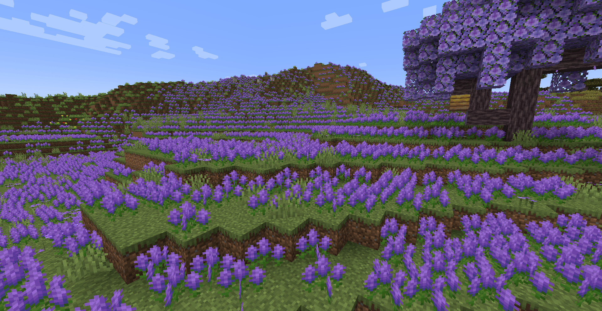 More Colorful - Minecraft Mods - CurseForge