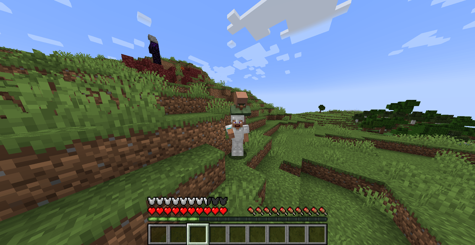 Armor HUD Changes - Gallery - Minecraft Resource Packs - CurseForge