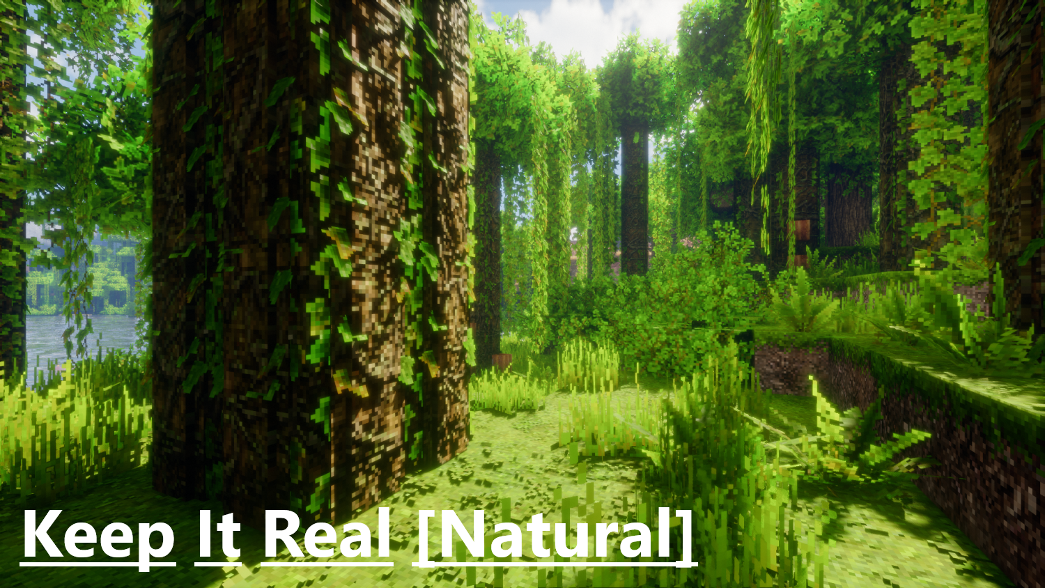 Keep It Real [STM] - Minecraft Modpacks - CurseForge