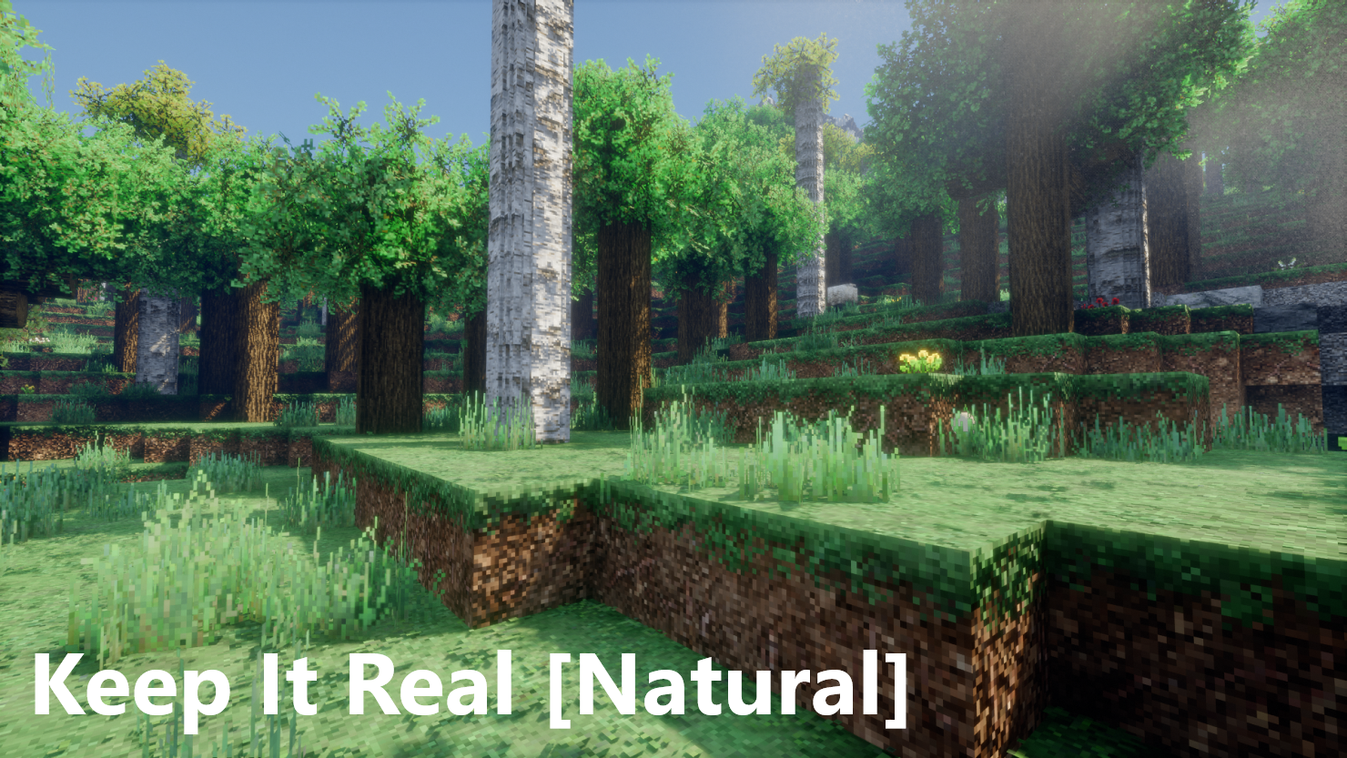 Keep It Real [STM] - Gallery - Minecraft Modpacks - CurseForge