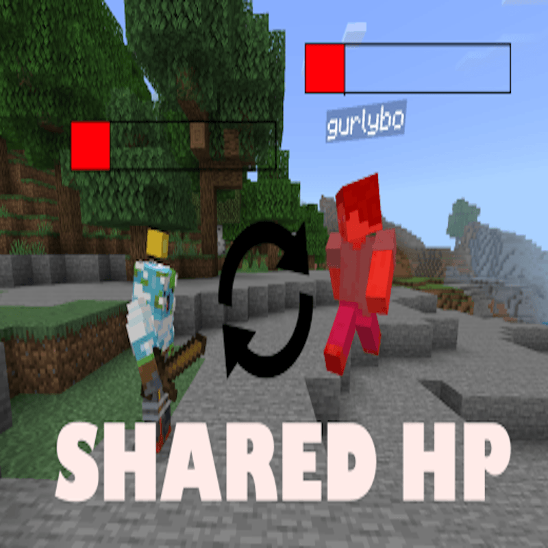 Video player | Minecraft PE Mods & Addons