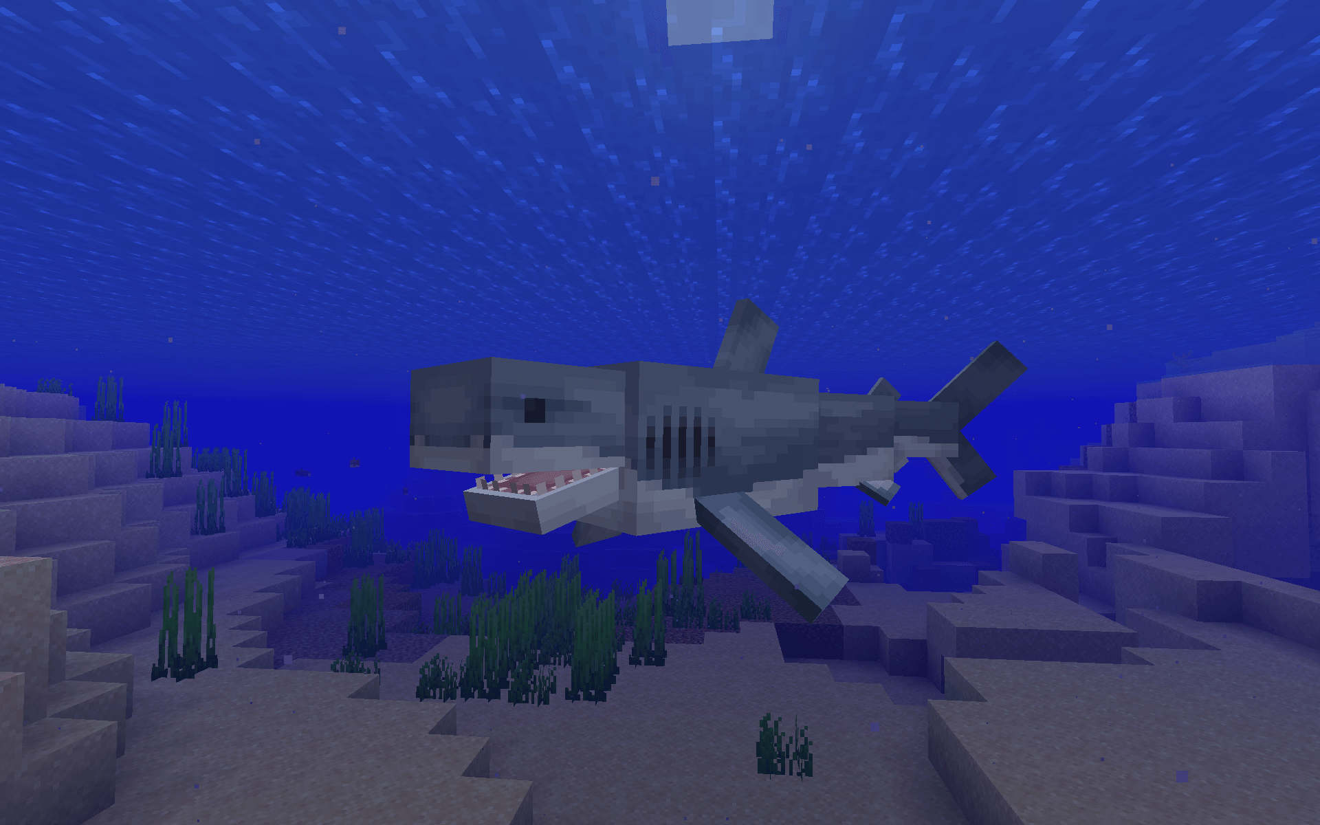 Ben's Sharks - Minecraft Mods - CurseForge