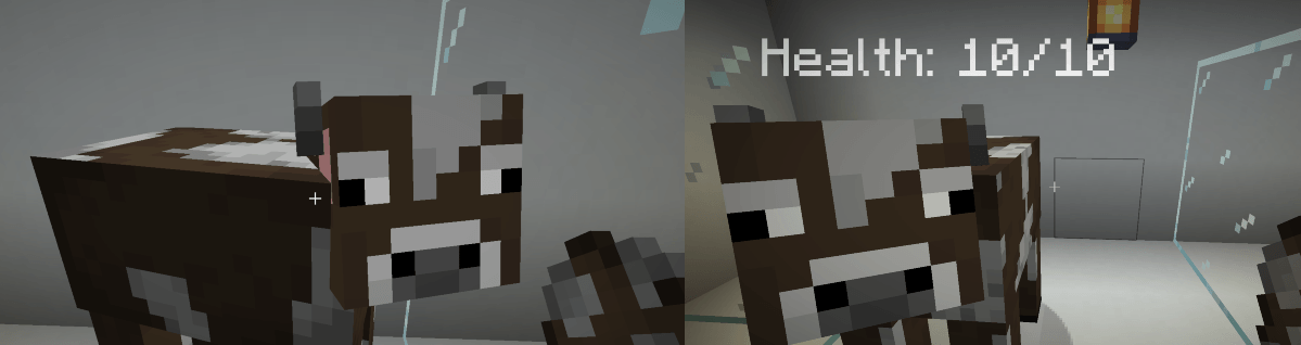 hidename(nick) and Player health show and (Nick Change)-Hidden Name - Gallery - Minecraft Mods ...