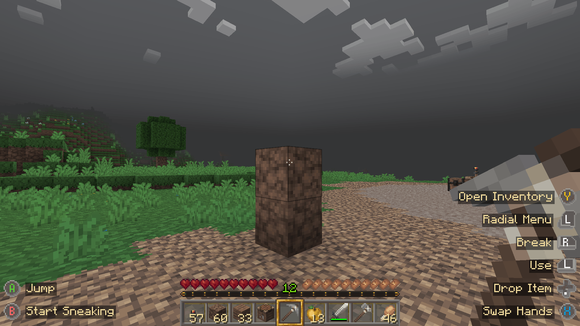 Pixel Perfection x CONTROLIFY - Minecraft Resource Packs - CurseForge