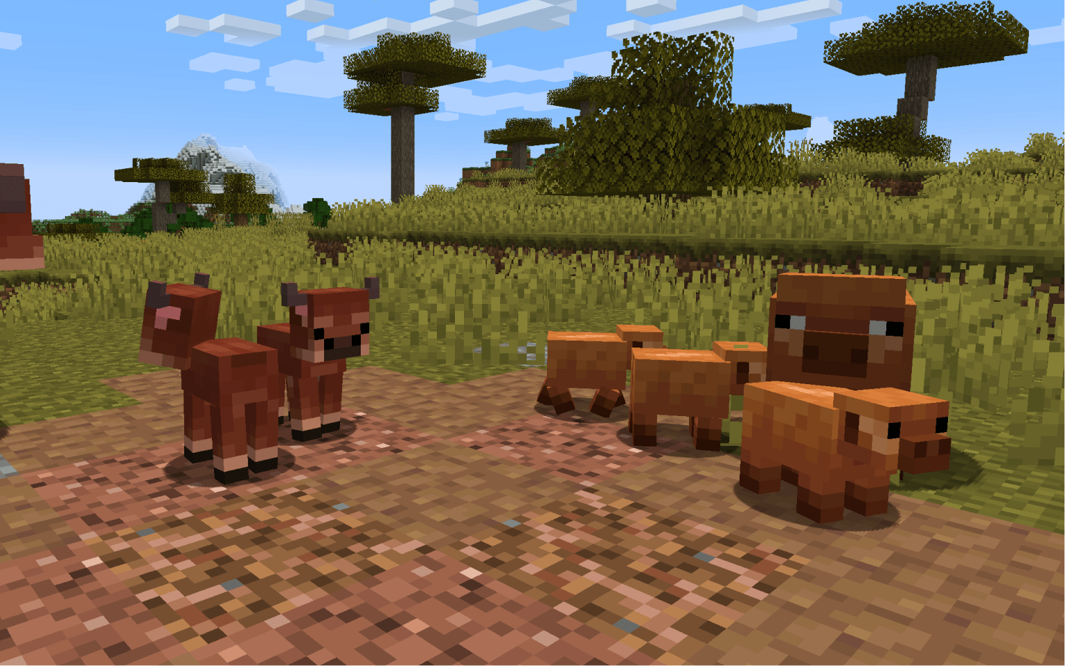 Baby Animals Remastered - Gallery - Minecraft Resource Packs - CurseForge