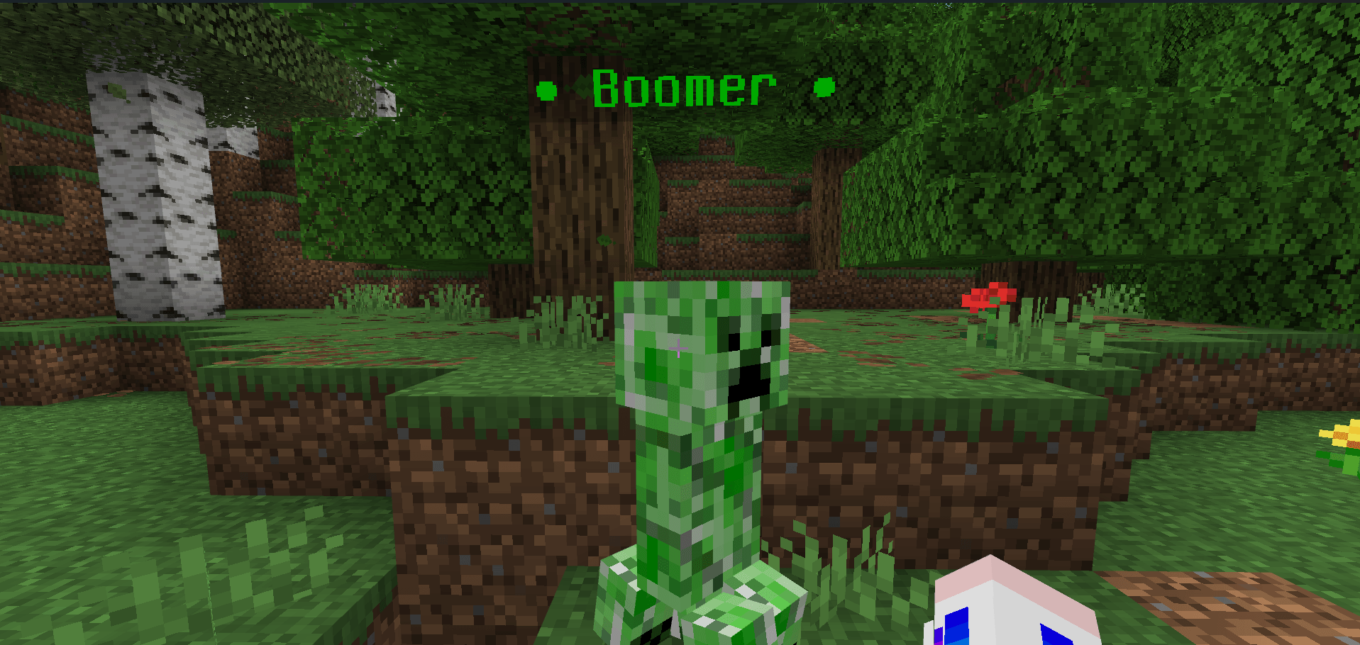 Name That Mob! [Updated] - Gallery - Minecraft Bedrock Scripts - CurseForge