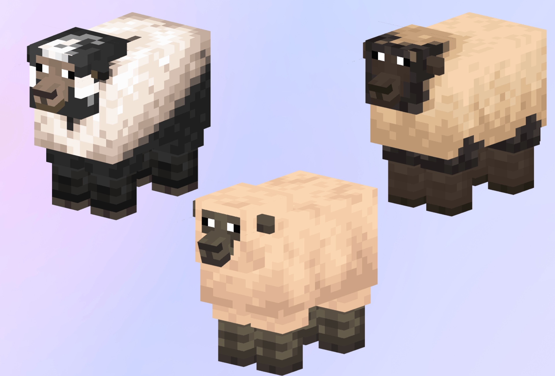 Prettier Sheep - Minecraft Resource Packs - CurseForge