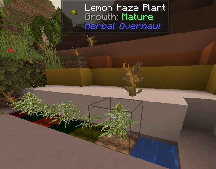 Herbal Overhaul - Gallery - Minecraft Mods - CurseForge