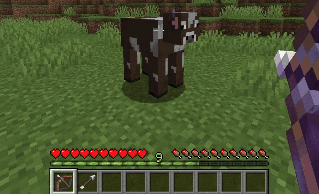 magnetic-telekinesis - Gallery - Minecraft Mods - CurseForge