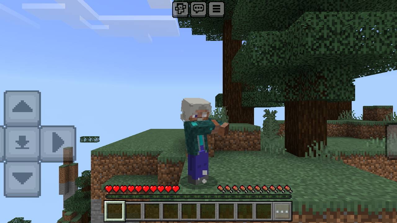 Upgrade Lite: Iron Skin - Gallery - Minecraft Bedrock Addons - CurseForge