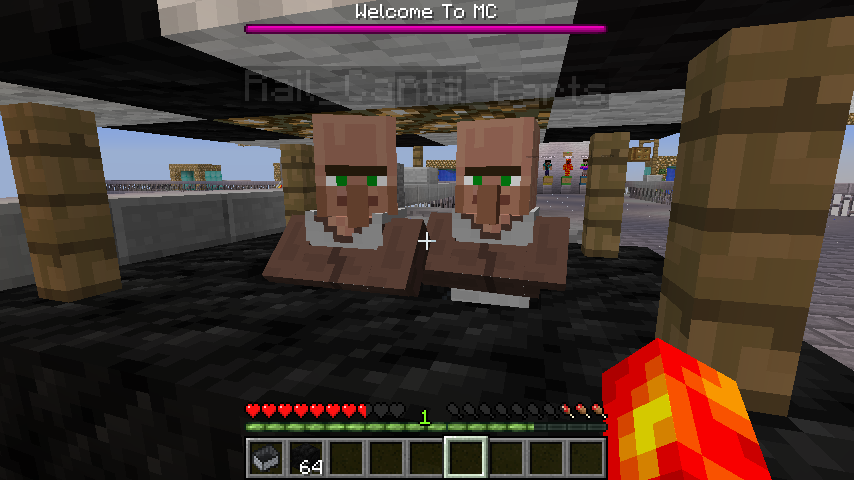 #15 Shops are Duplicating - Issues - VillagerShop - Bukkit Plugins ...