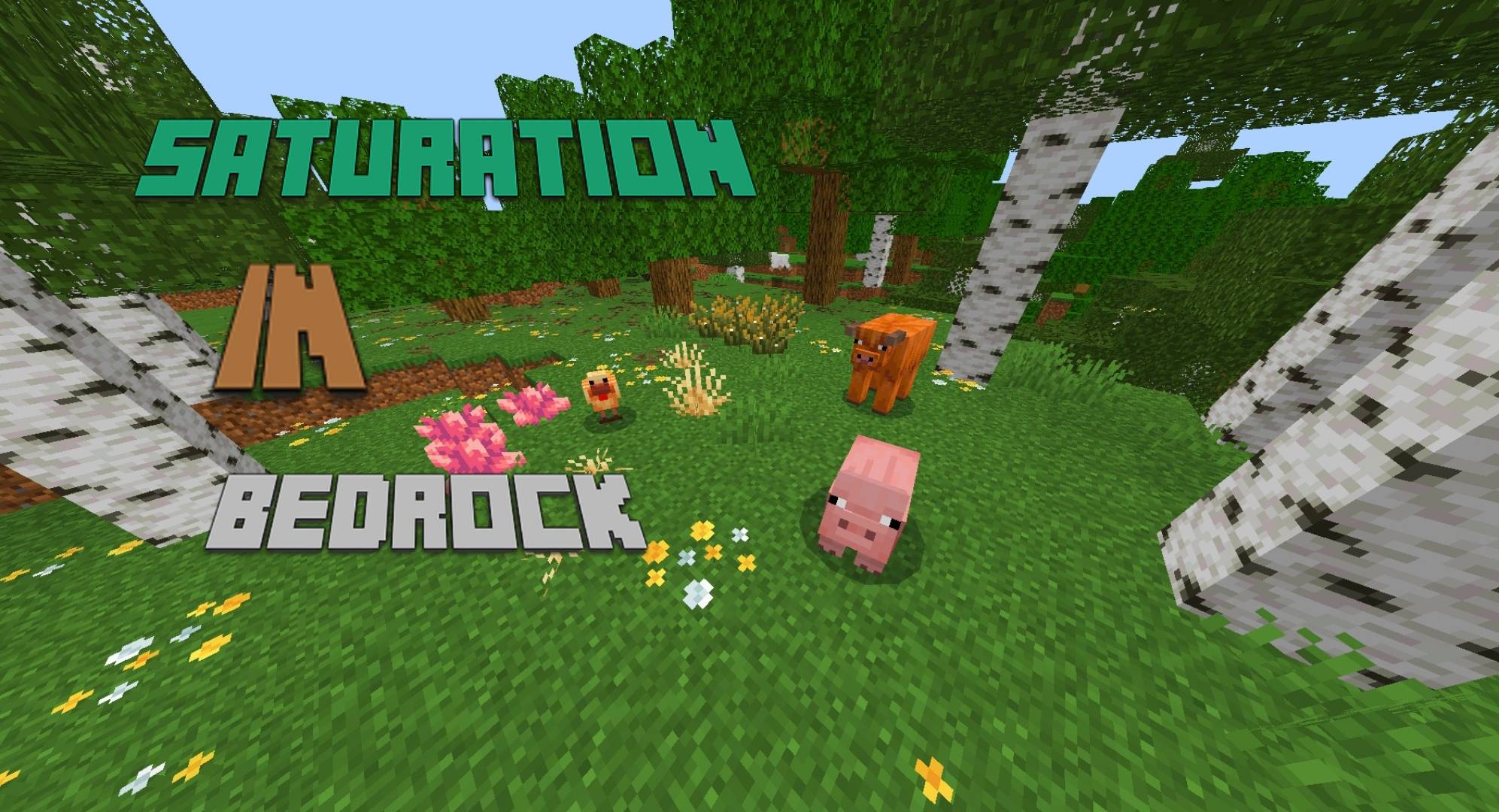 Minecraft Version: Minecraft PE Mods - Bedrock Edition | MCPEDL