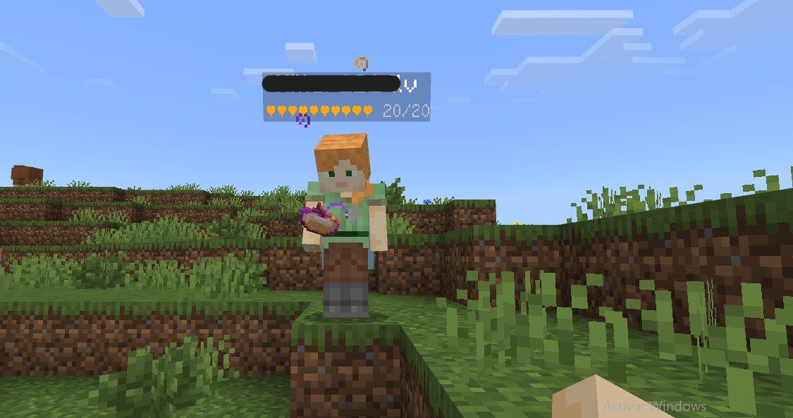 📜Heart Display Nametags for Players and Mobs [Addon Script] - Minecraft Bedrock Addons - CurseForge