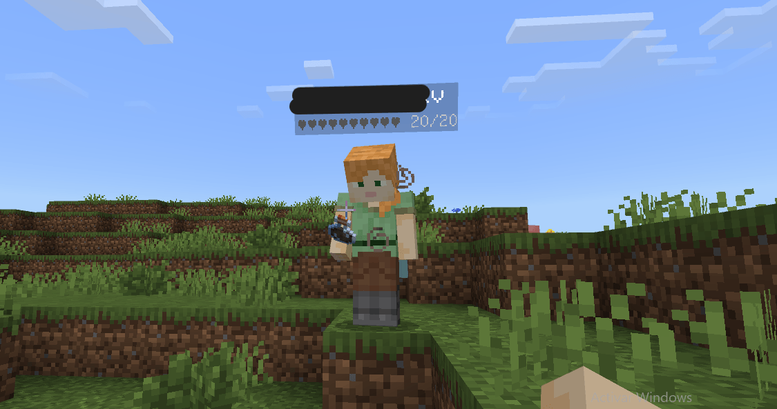 📜Heart Display Nametags for Players and Mobs [Addon Script] - Minecraft Bedrock Addons - CurseForge