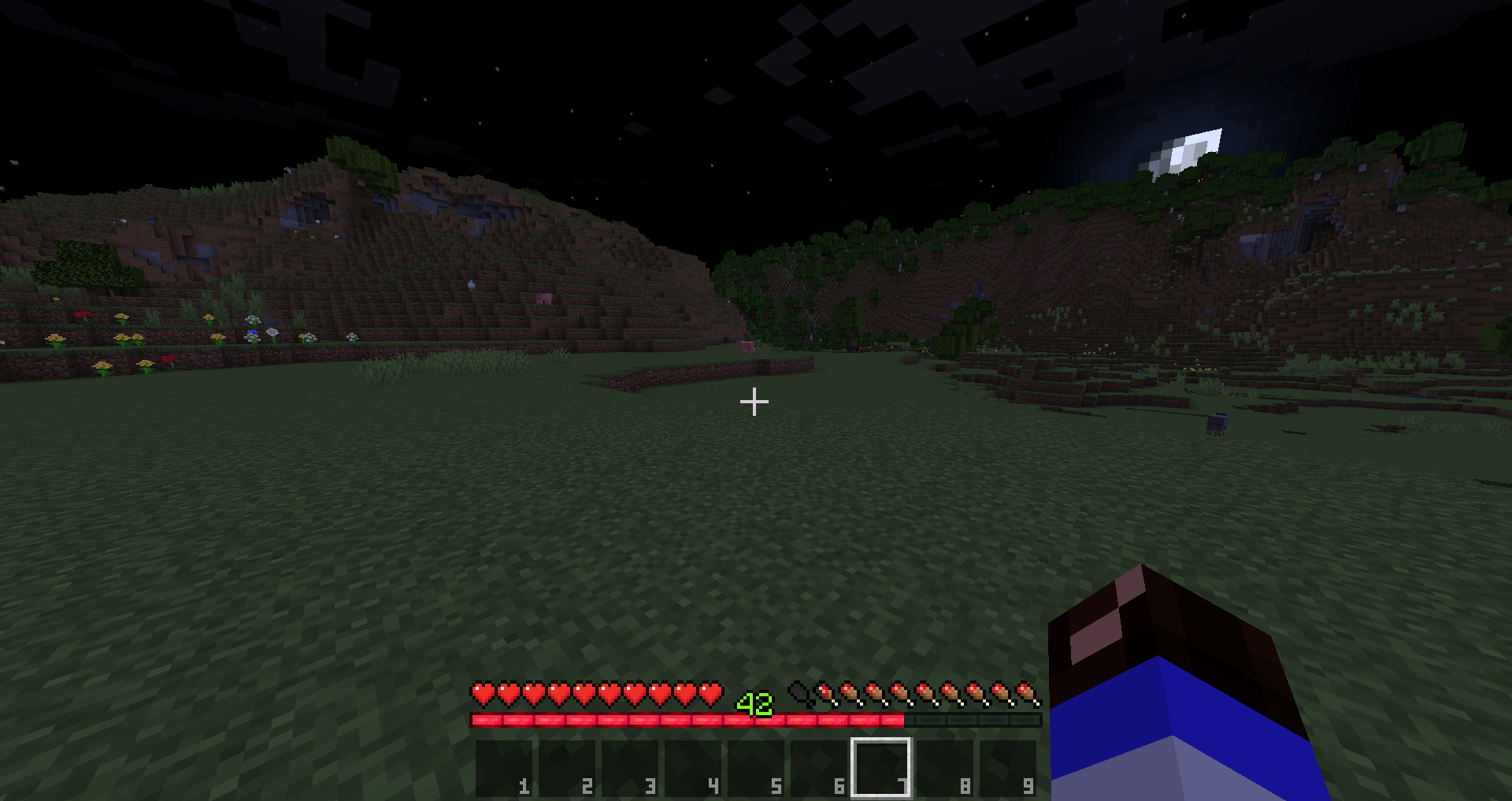 XP BAR RED - Minecraft Resource Packs - CurseForge