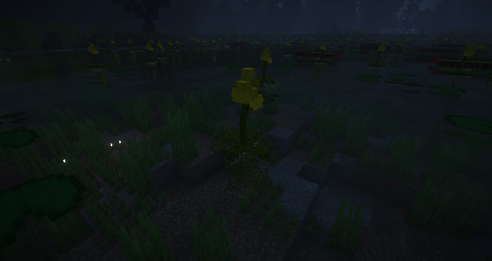 Humped Bladderwort (Utricularia Gibba) - Gallery - Minecraft Resource ...