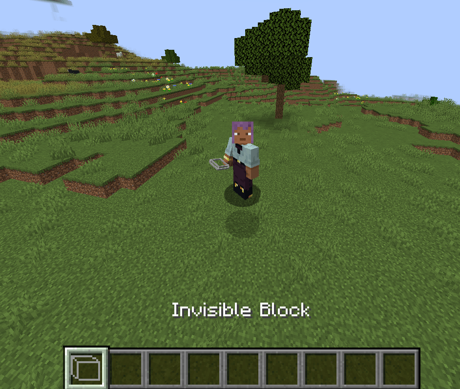 Invisible Things - Minecraft Mods - CurseForge